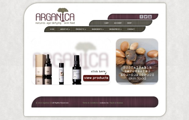 Tiny Framework free responsive, accessible WordPress theme